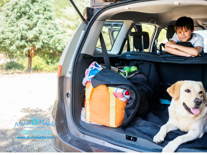 Let’s Get Your Car Boot Cleaned