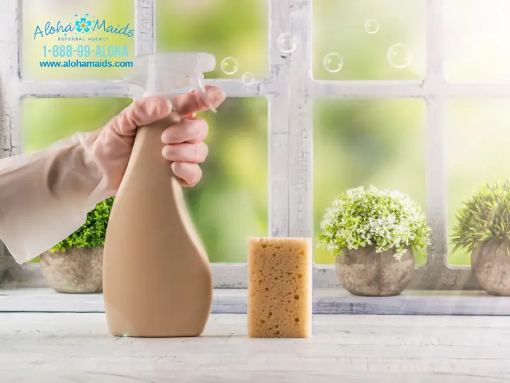 Hello Spring Cleaning