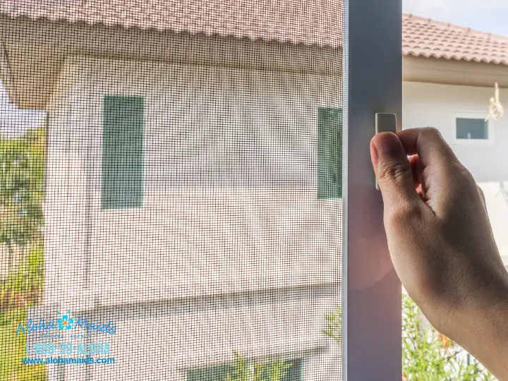 The Ultimate Cleaning Hack for Window Screens