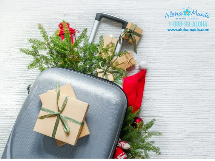 Essential Things to Clean Before Holiday Travel