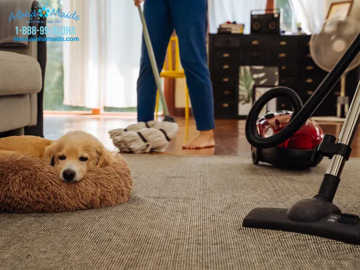 Let’s Keep Our Home Pet-Fur Free This Shedding Season!