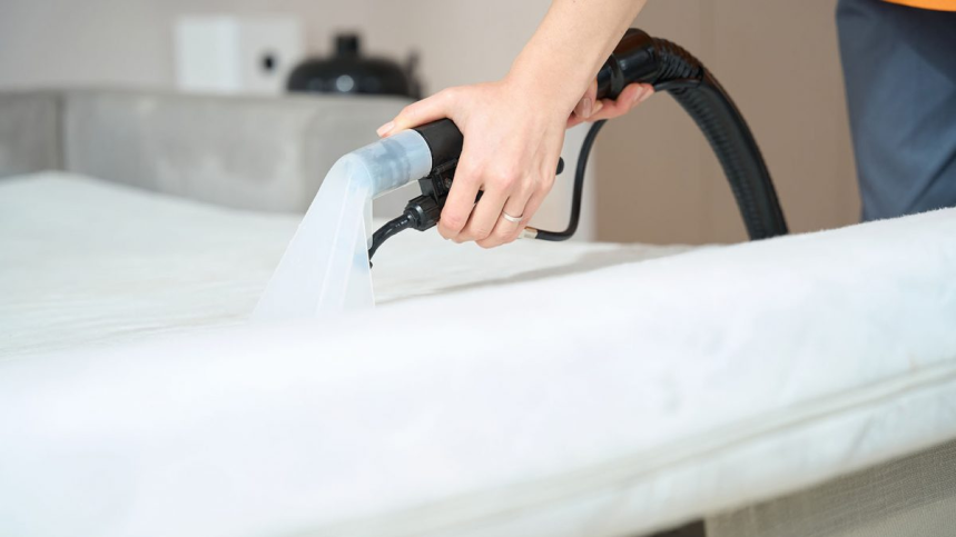 Bed Bug Prevention Tips | Protect Your Home